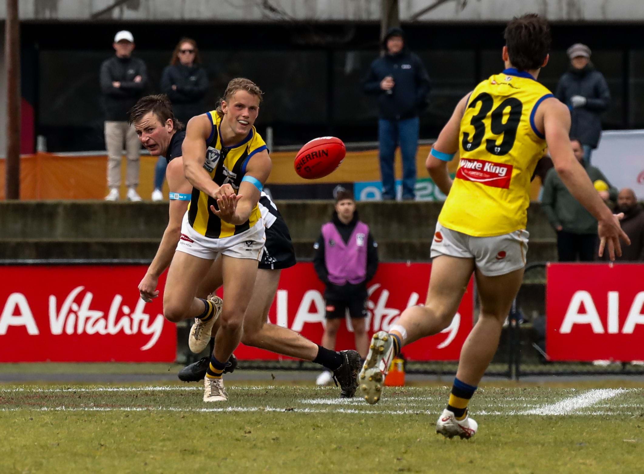 Blamires re-commits with the Zebs in '24