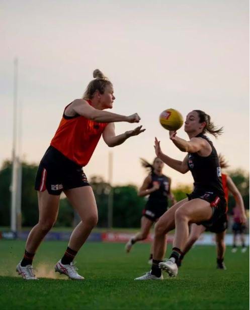 Two new signings for Zebras' VFLW side in 2025