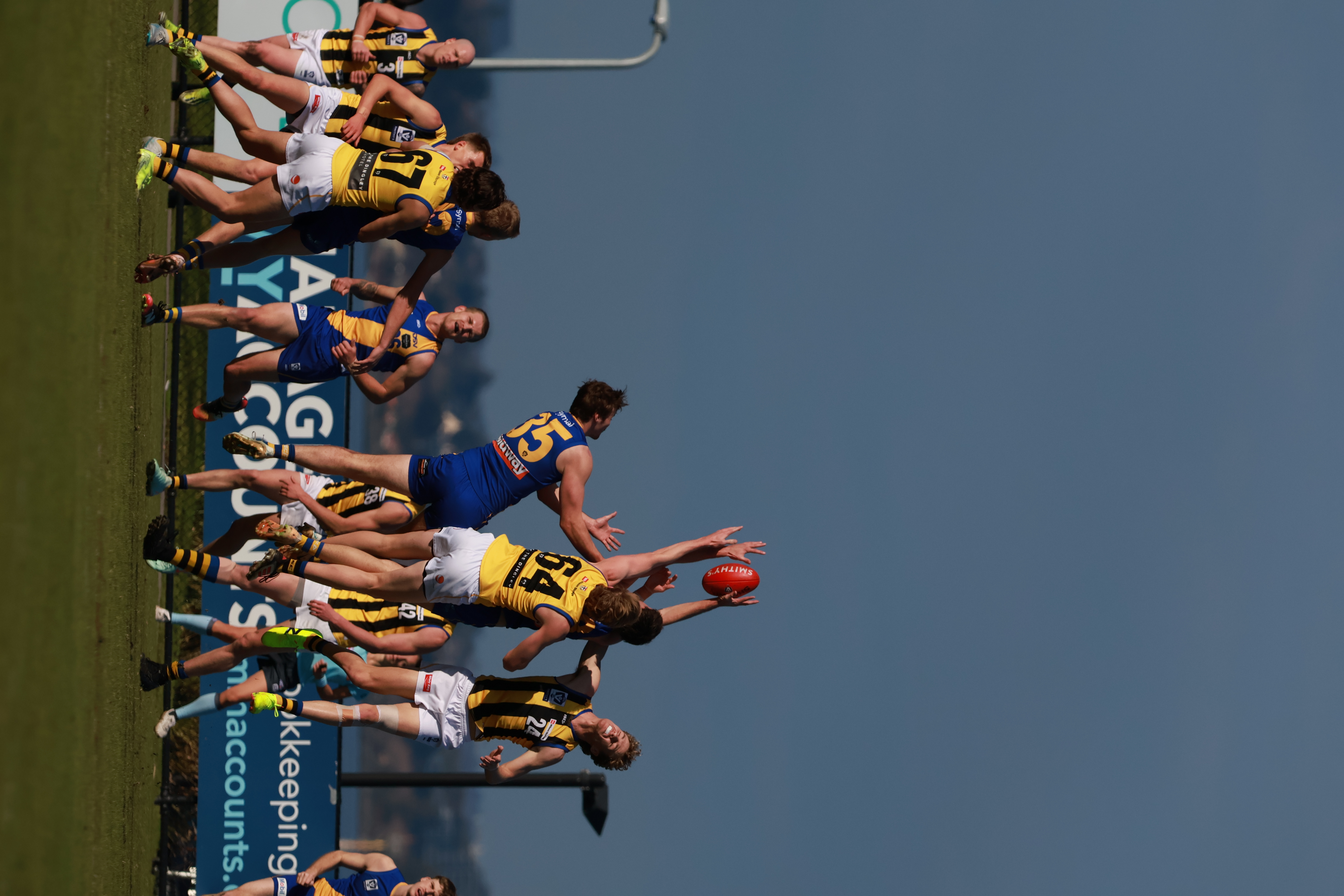 VFL Match Report: Round 14 vs Williamstown