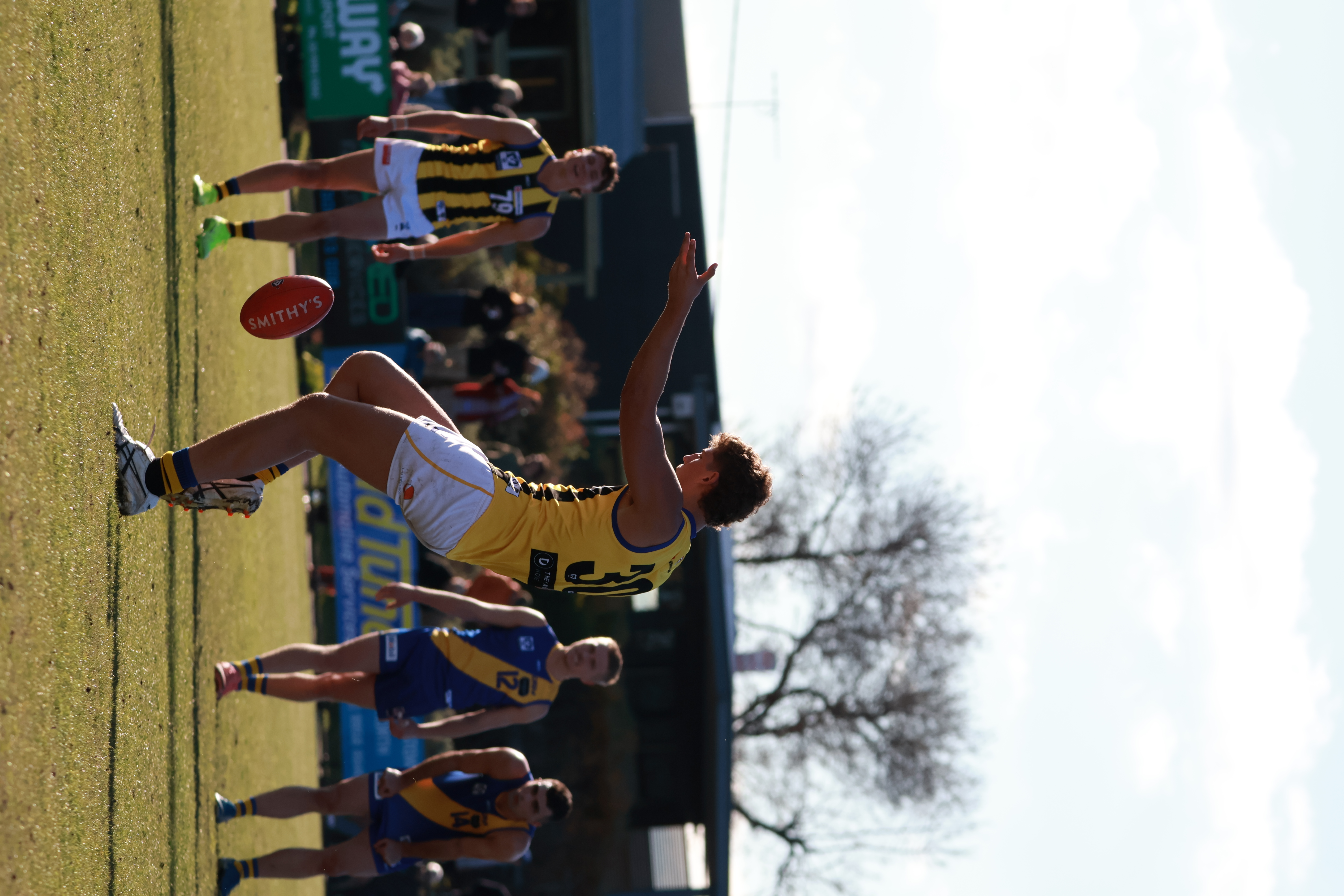 VFL Match Report: Round 14 vs Williamstown