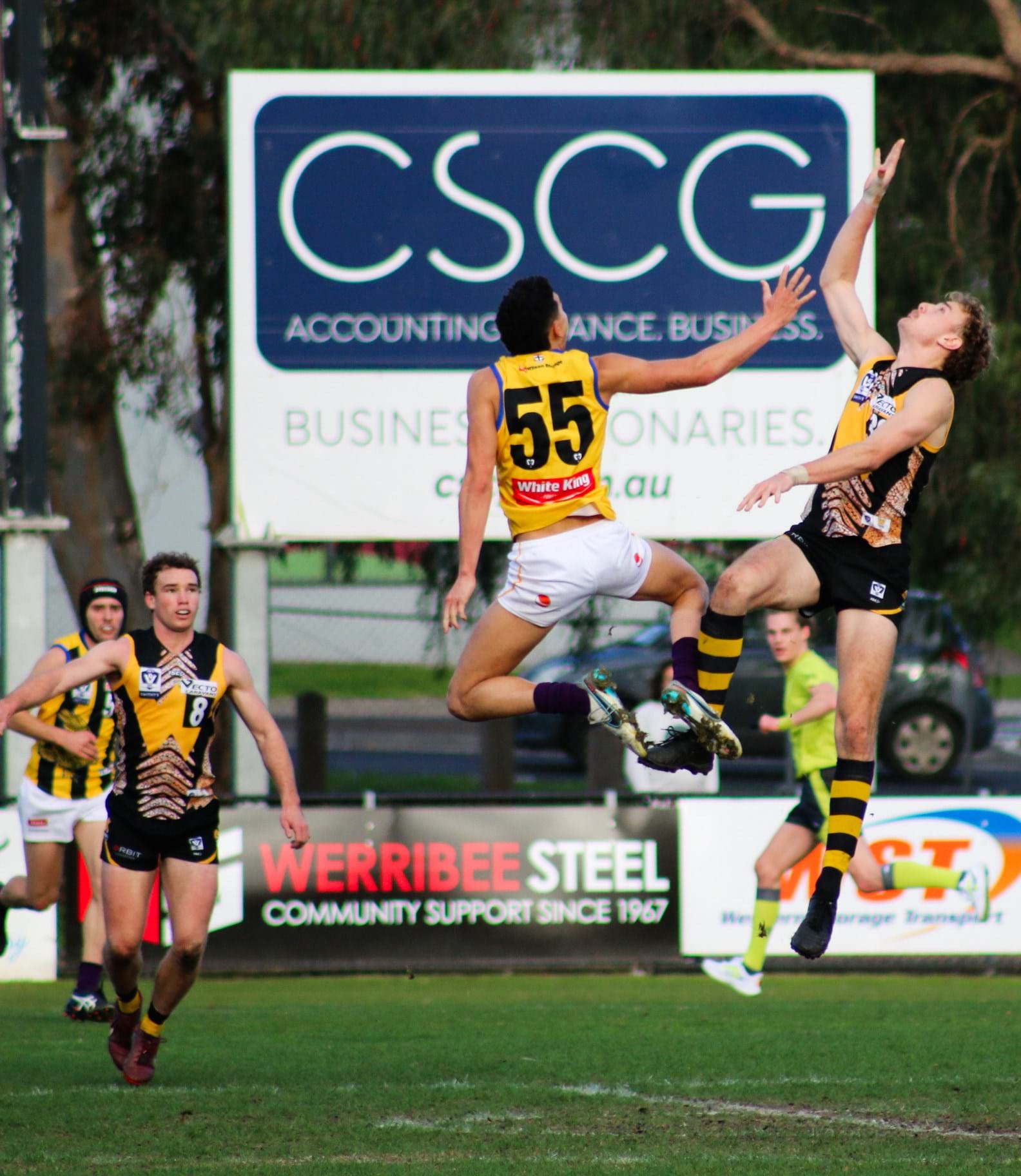 Match Report: VFL Round 15 v Werribee