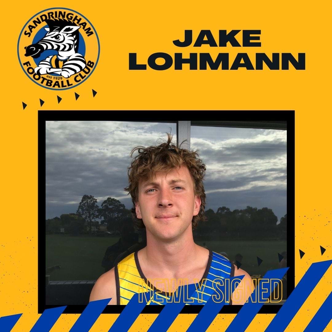 Harms, Beilby and Lohmann join the Zebs