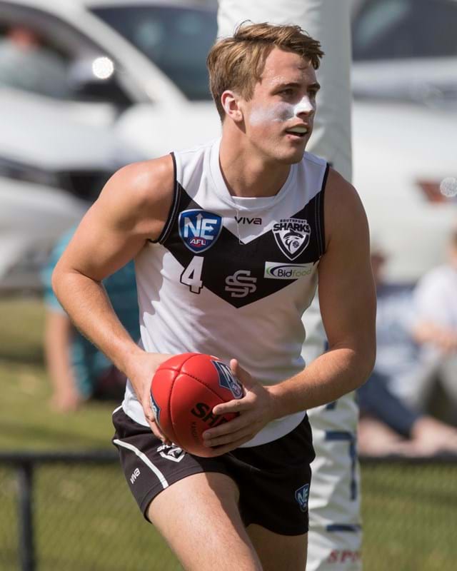 Former Dragon signs with the Zebras