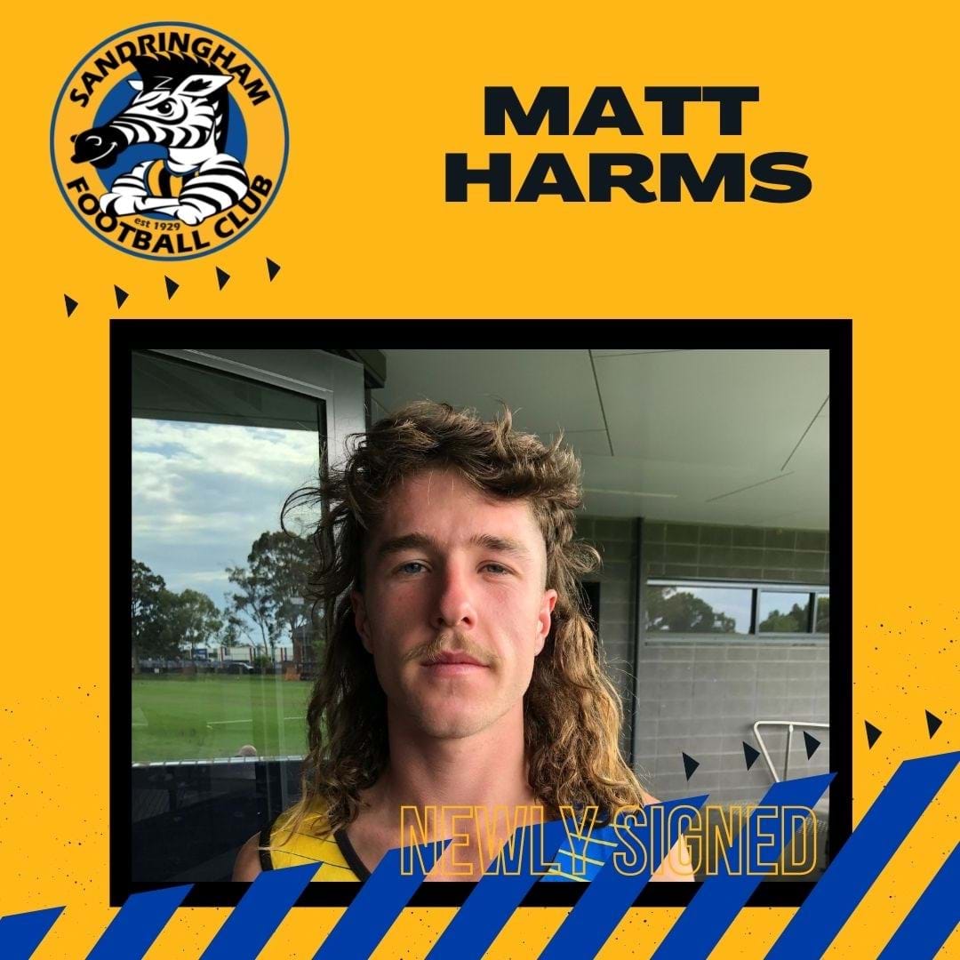 Harms, Beilby and Lohmann join the Zebs