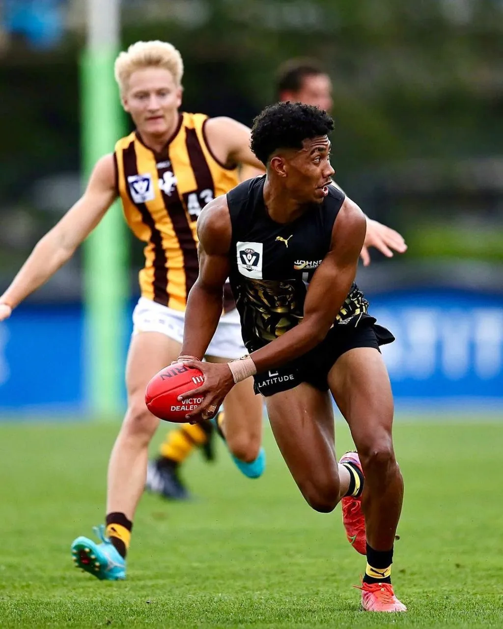 Misilifi Faimalo finds a new home at the Zebras