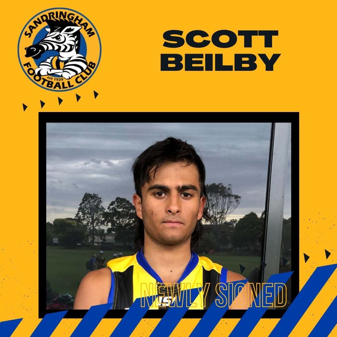 Harms, Beilby and Lohmann join the Zebs